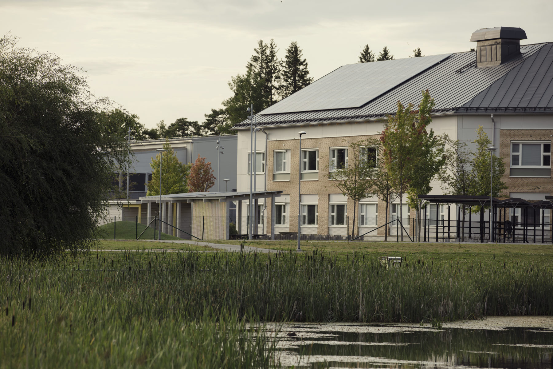 Björnmossen – Lindbacken - Blooc